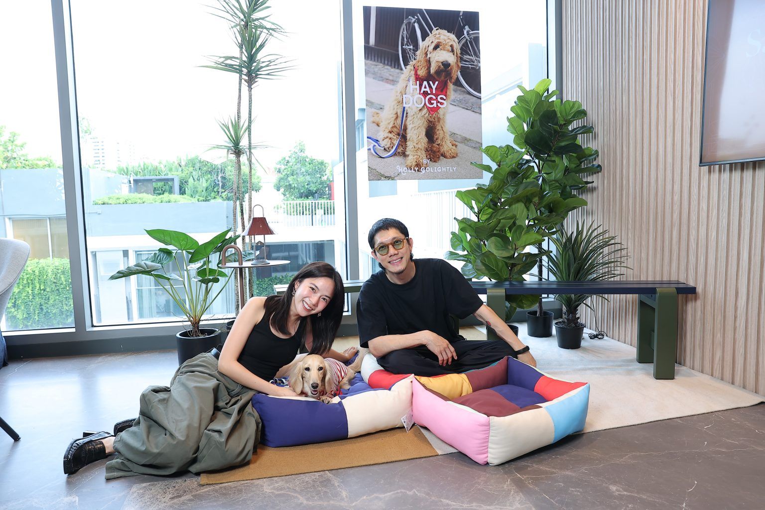 น้องหมาก็เทสได้ HAY Dogs จาก Norse Republics
